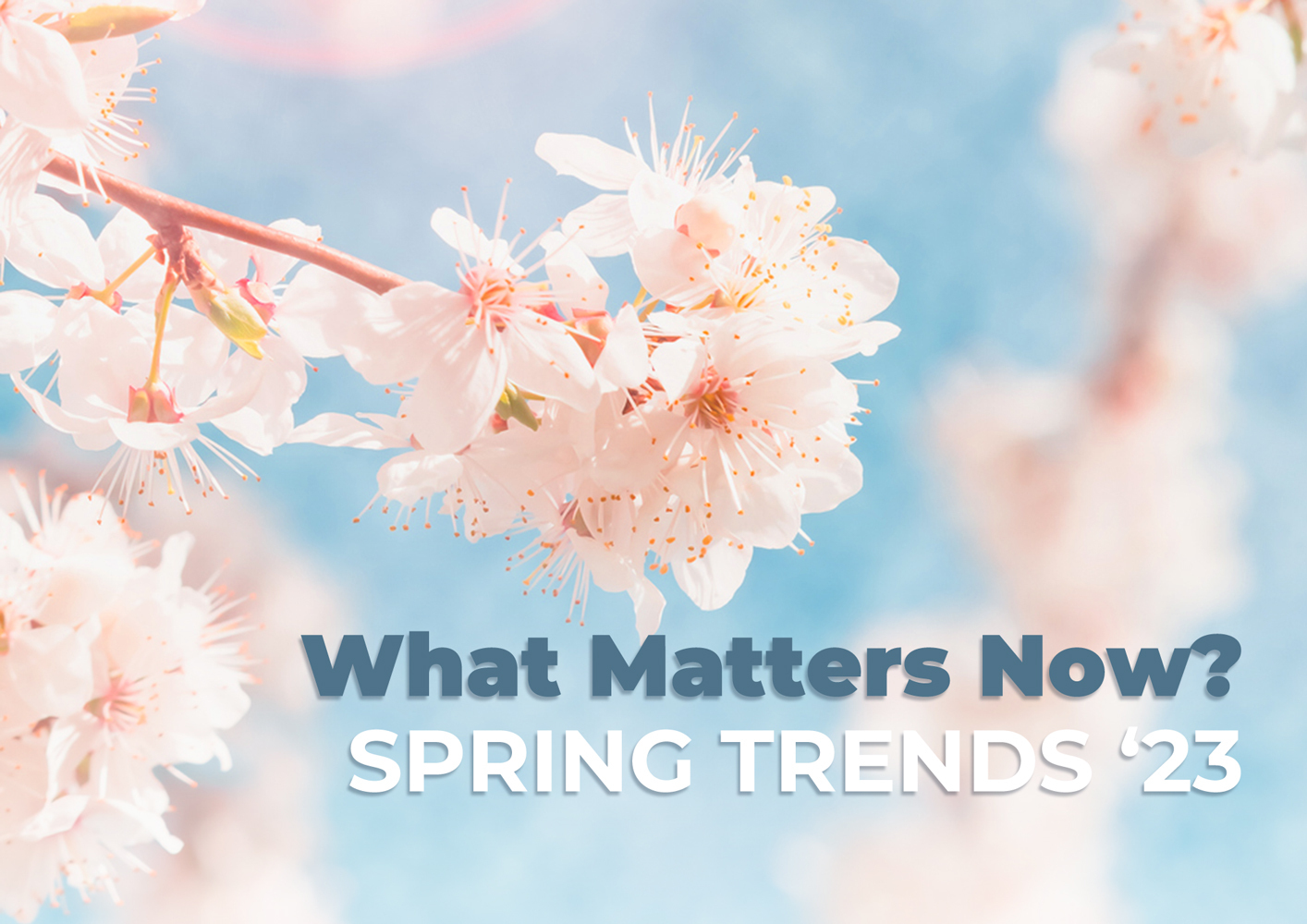 Trends Influencing Branded Merch Buying Spring & Summer 23